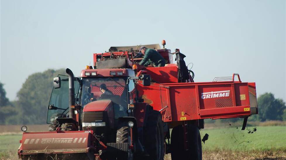 Case IH › Zetmeel aardappelen rooien met Grimme SE 150-60 | Trekkerweb ...