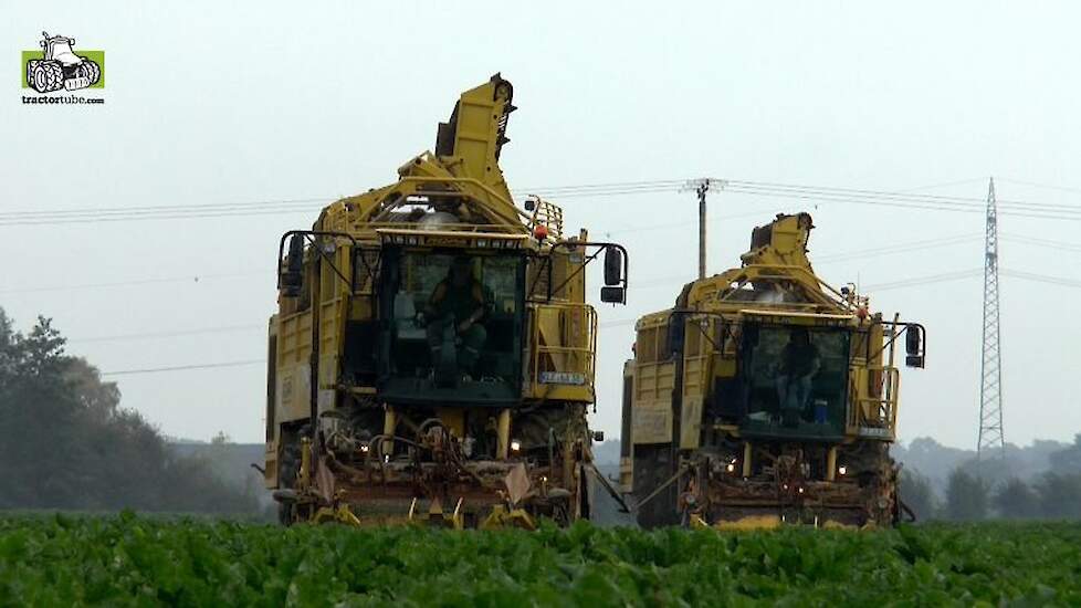 Ropa Euro Tiger V8 en Ropa Euro Tiger V8 - 4A suikerbieten rooien ...