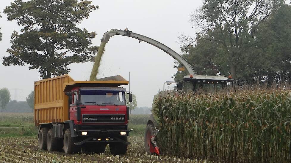 Loonbedrijf Hendriks uit Beers aan het maishakselen | Trekkerweb.nl ... Loonbedrijf Hendriks uit Beers aan het maishakselen | Trekkerweb.nl ...