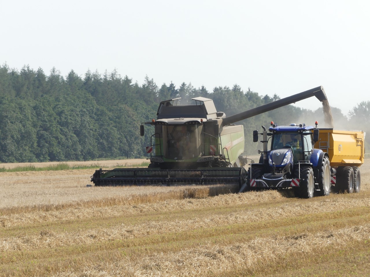 Video: zomergerst combinen met Fendt 6335 C | Trekkerweb.nl - Mechanisatienieuws voor de ...