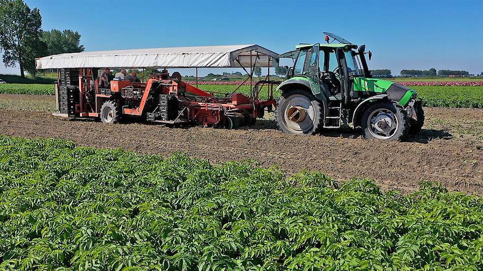 Video: Mooie vroege aardappelen rooien op Tholen | Trekkerweb.nl ...