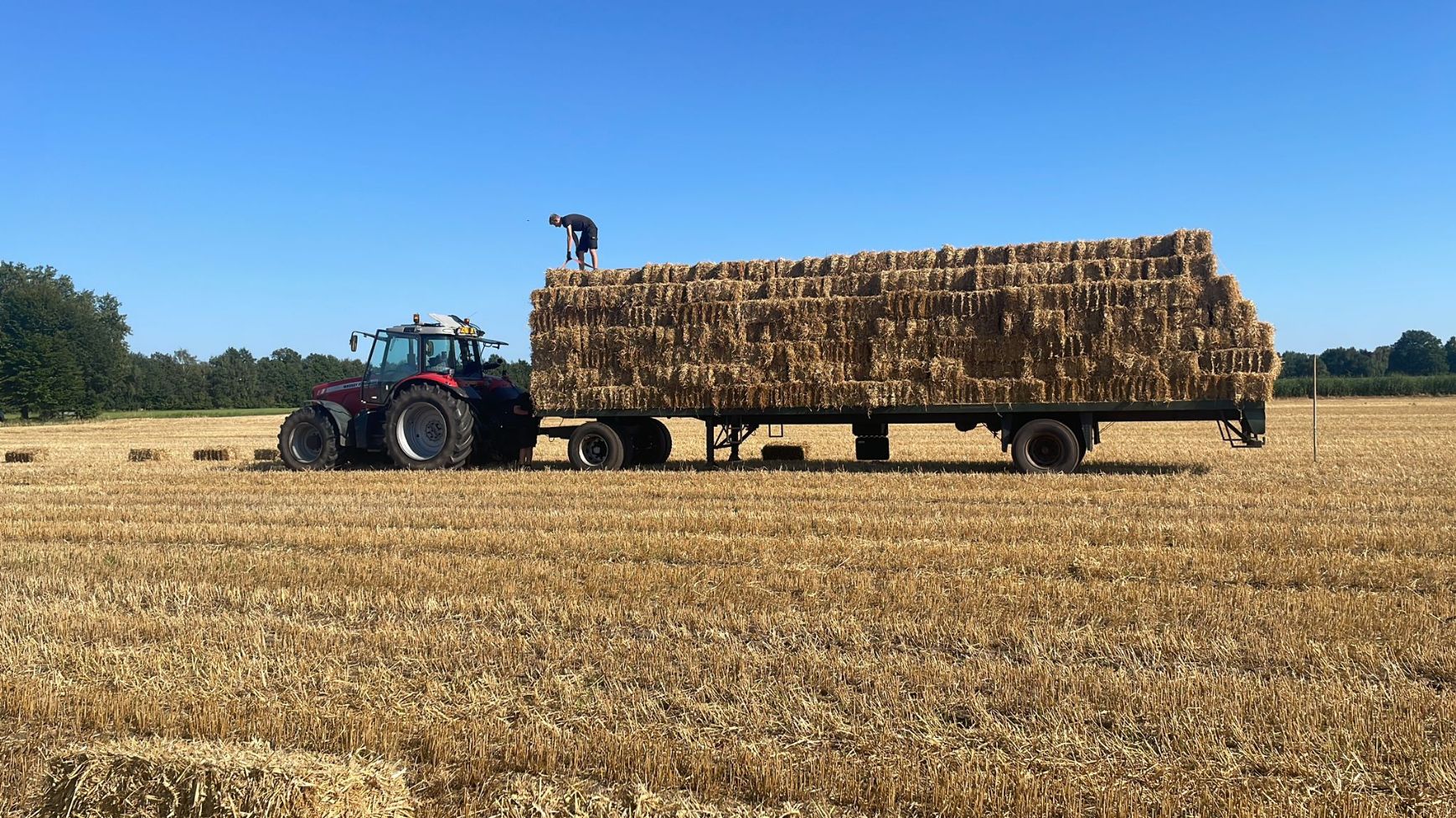 Stro ook weer op zolder | Trekkerweb.nl - Mechanisatienieuws voor de ...
