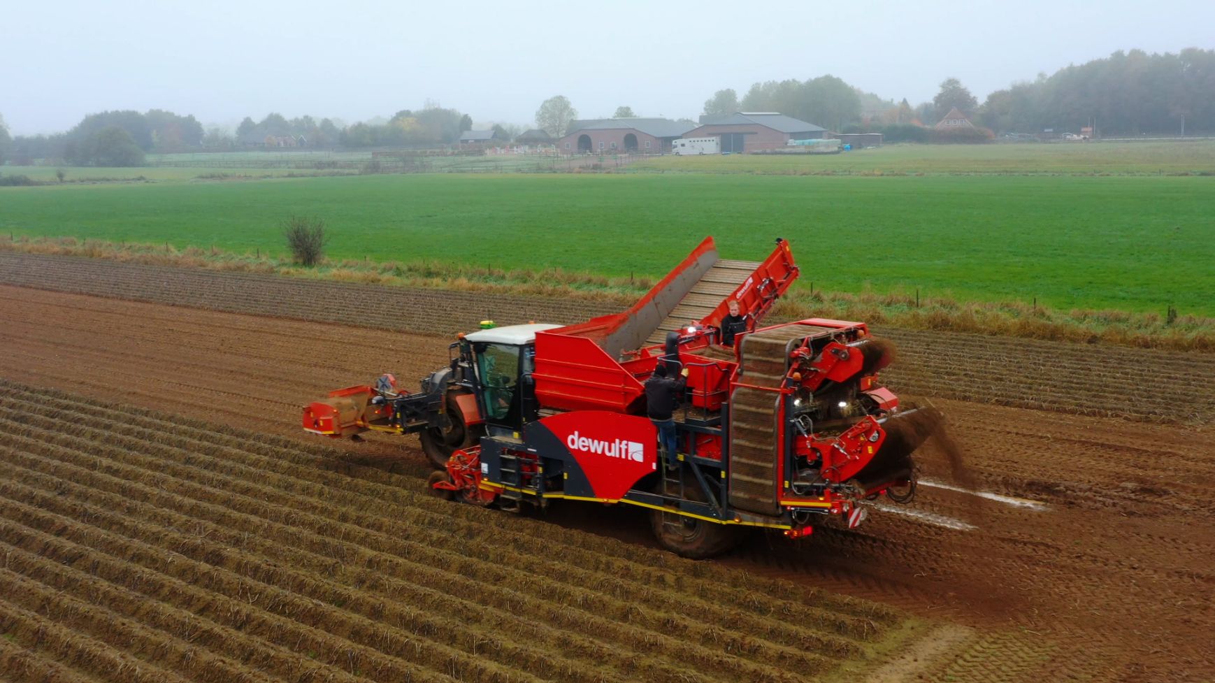 Video: aardappelen rooien met DeWulf | Trekkerweb.nl - Mechanisatienieuws voor de landbouw en ...