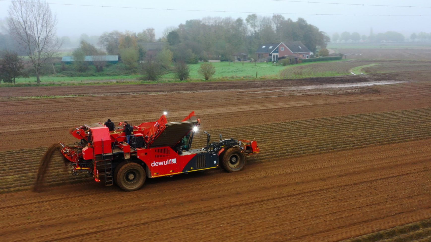 Video: aardappelen rooien met DeWulf | Trekkerweb.nl ...