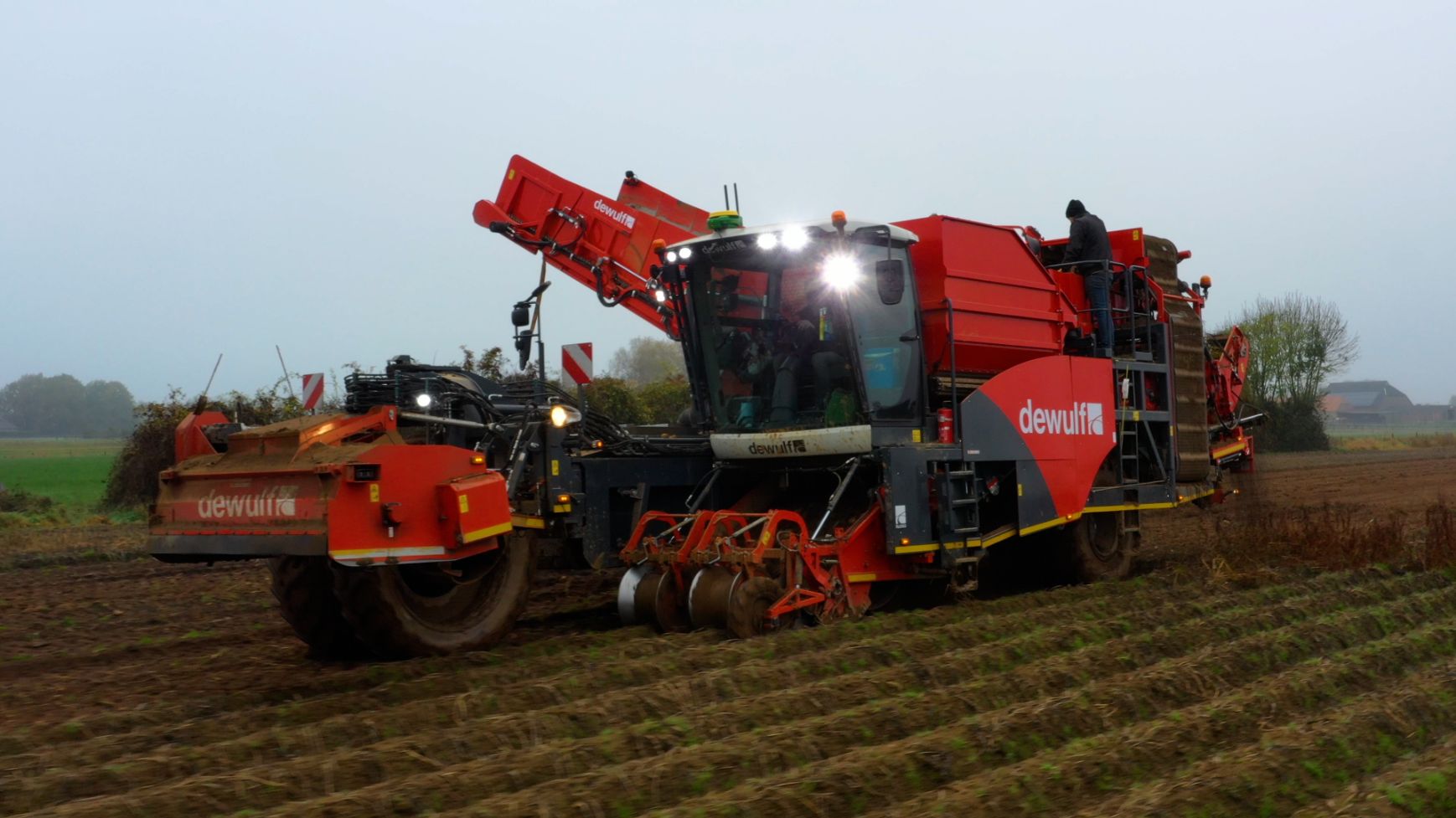 Video: aardappelen rooien met DeWulf | Trekkerweb.nl ...