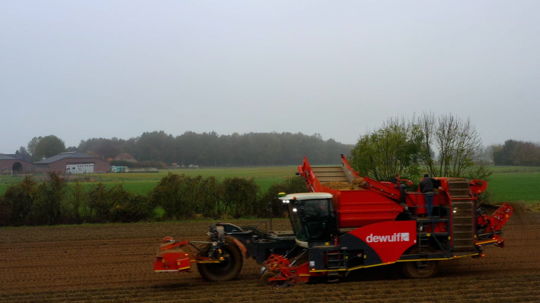 Video: aardappelen rooien met DeWulf | Trekkerweb.nl ...