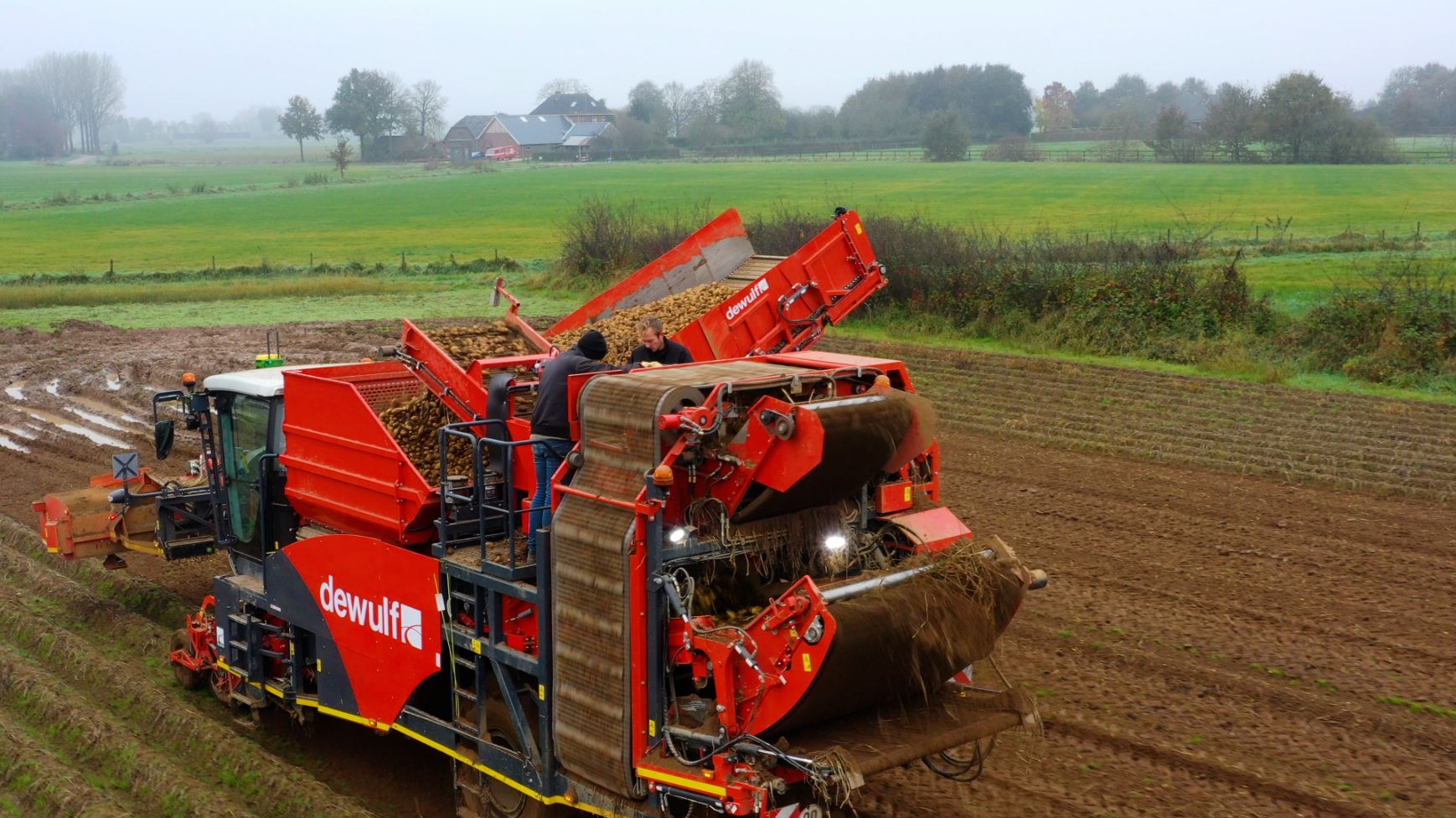 Video: aardappelen rooien met DeWulf | Trekkerweb.nl ...