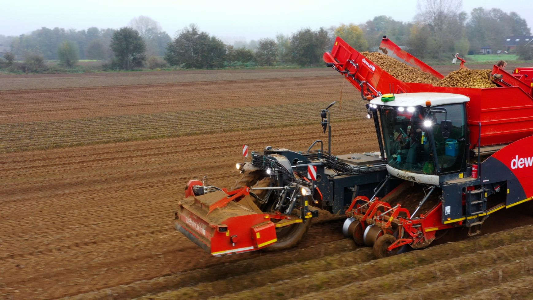 Video: aardappelen rooien met DeWulf | Trekkerweb.nl ...