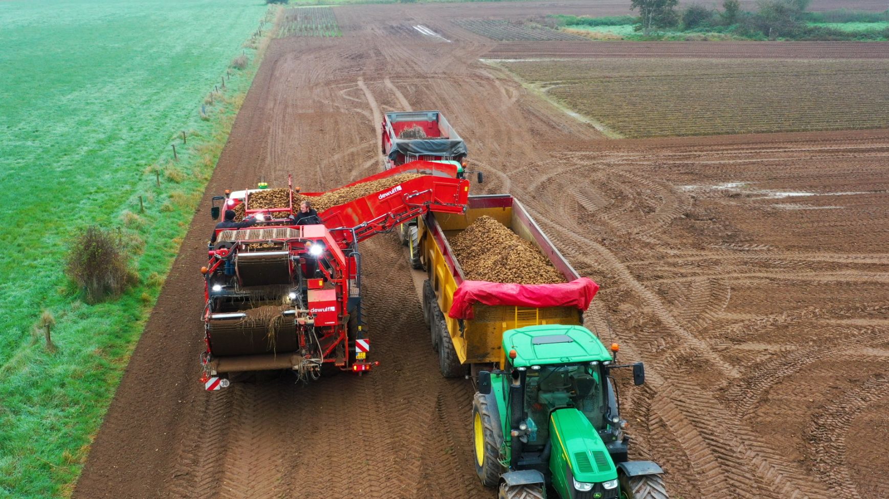 Video: aardappelen rooien met DeWulf | Trekkerweb.nl ...